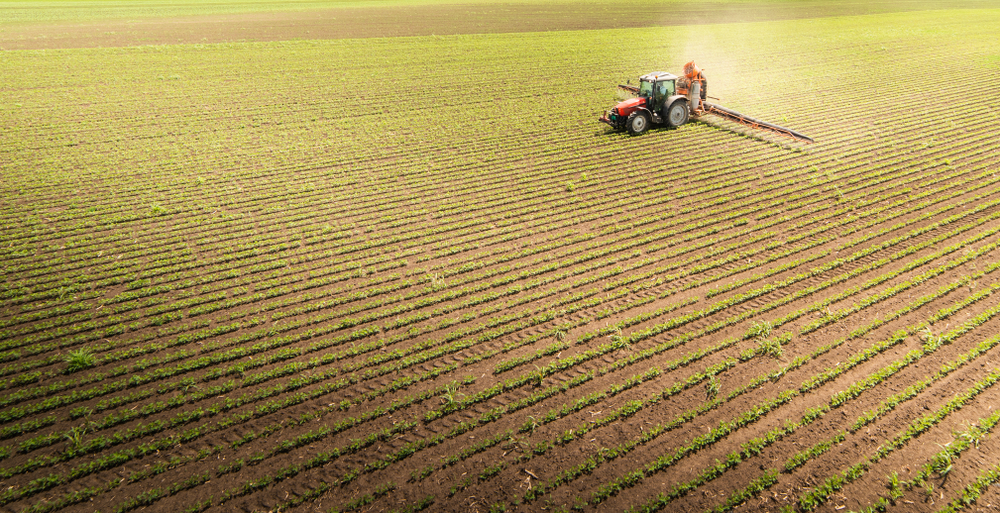 International Day against Tree Monocultures