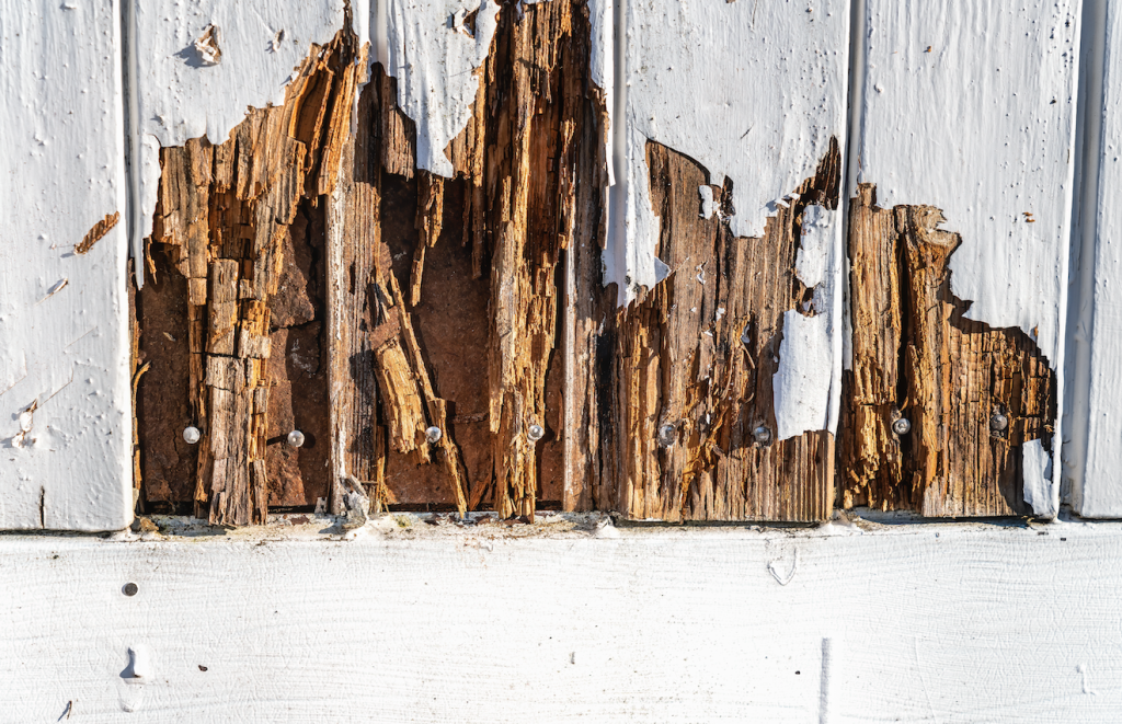 Tratamientos en madera: Ventajas, prevención y mantenimiento